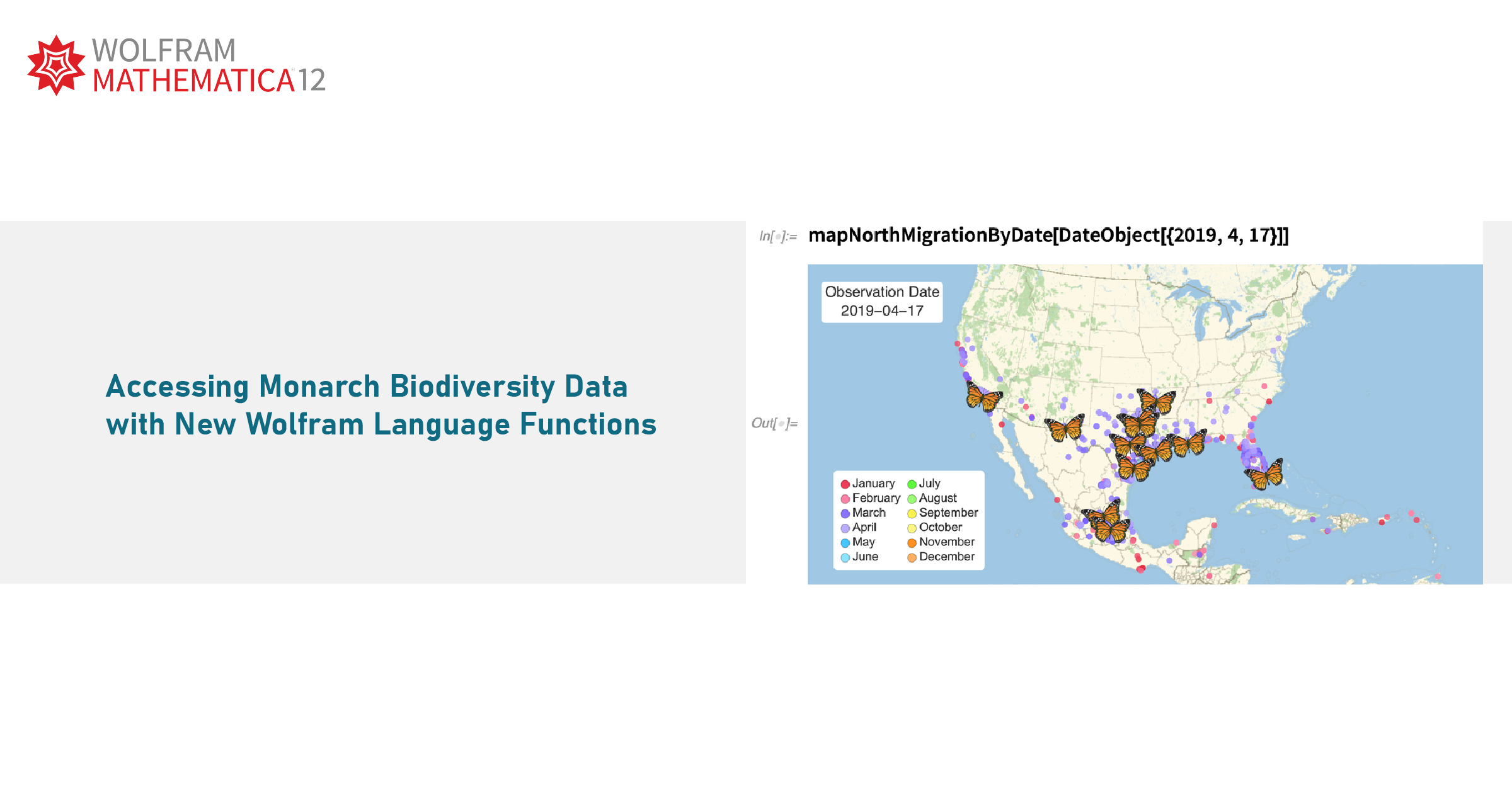 使用新的Wolfram語言功能取得帝王斑蝶的生物多樣性資料|昊青公司軟體代理商 Altair, dSPACE, Mathematica, Minitab,Stata